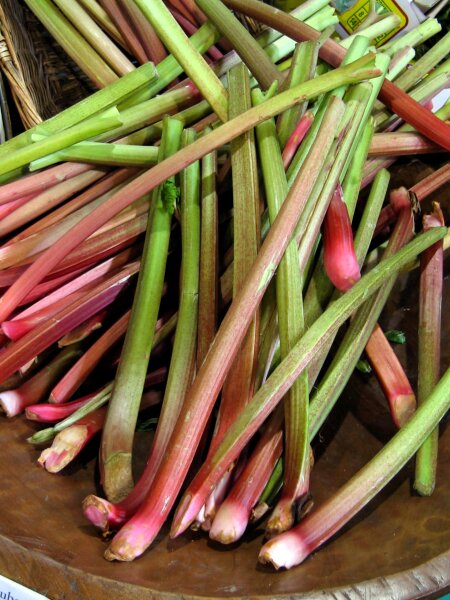 Stalk and Stem Vegetable Seeds