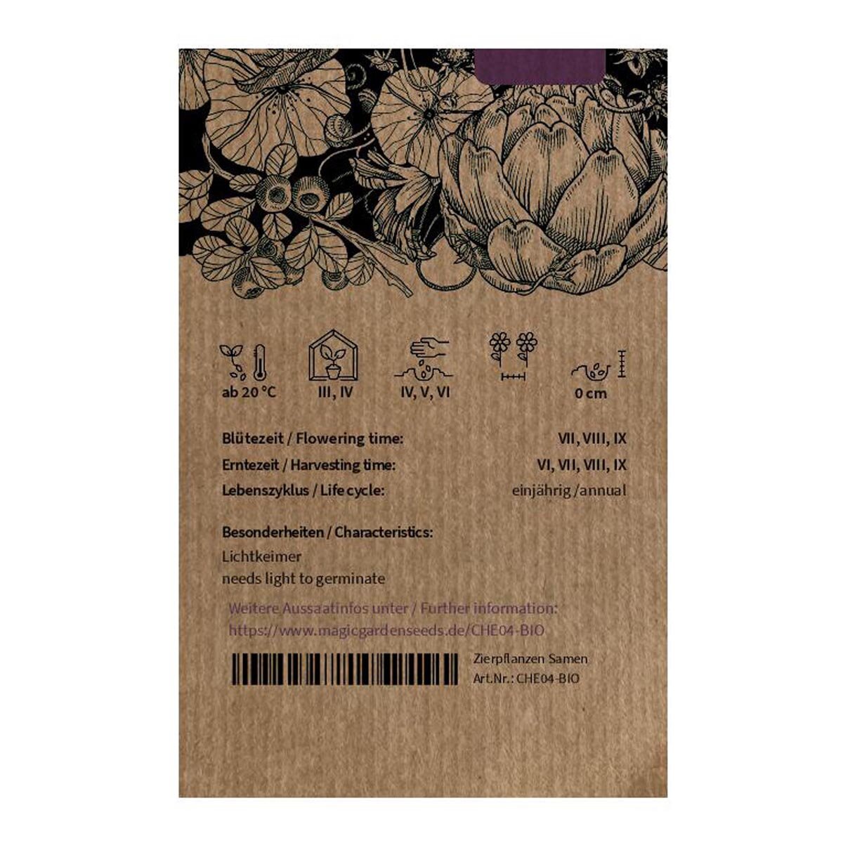 Tree Spinach 'Magenta Spreen' (Chenopodium giganteum) organic seeds