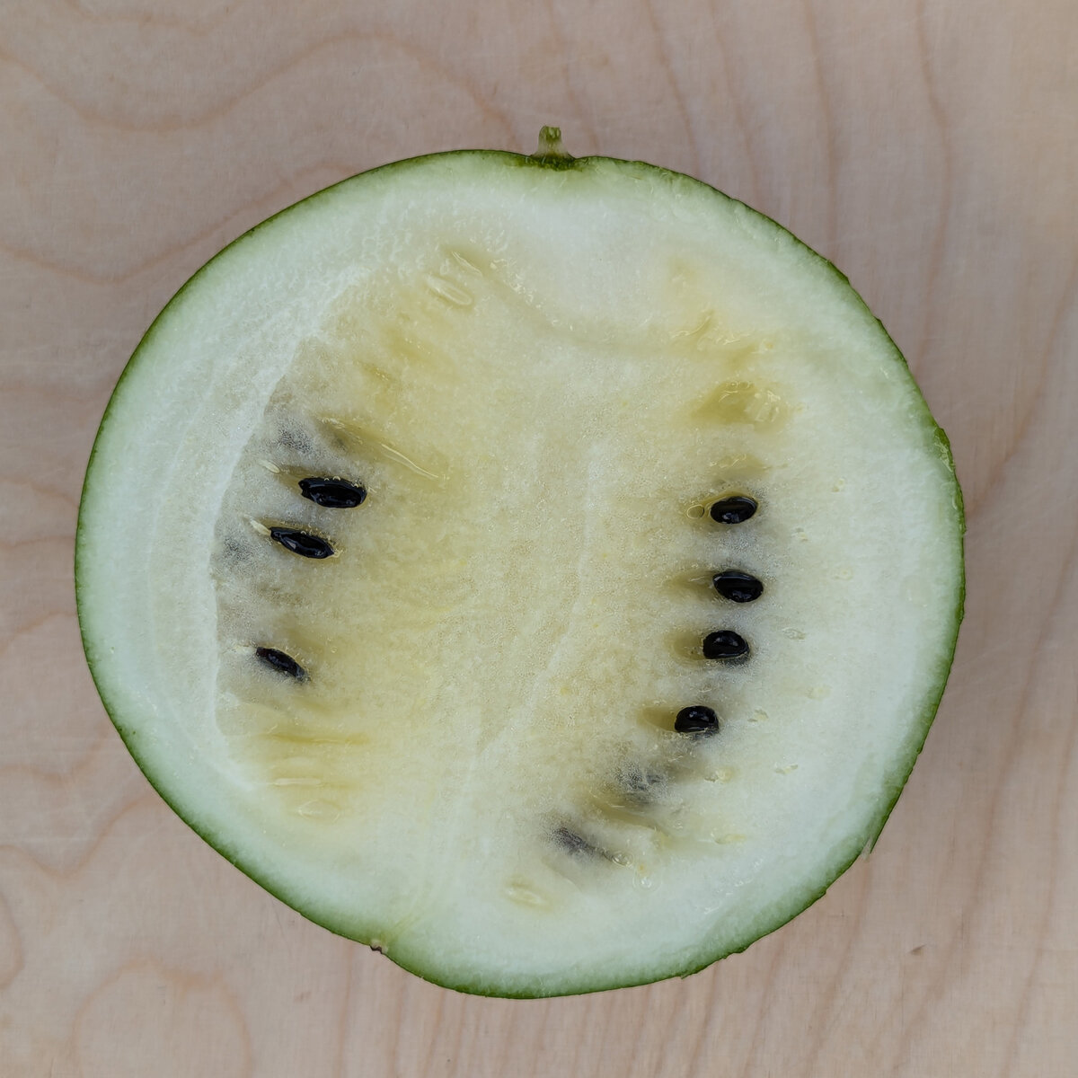 Watermelon 'Cream of Saskatchewan' (Citrullus lanatus) seeds