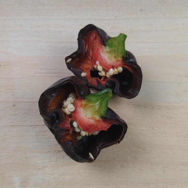 Chili Pepper 'Chilhuacle Negro' (Capsicum annuum) seeds