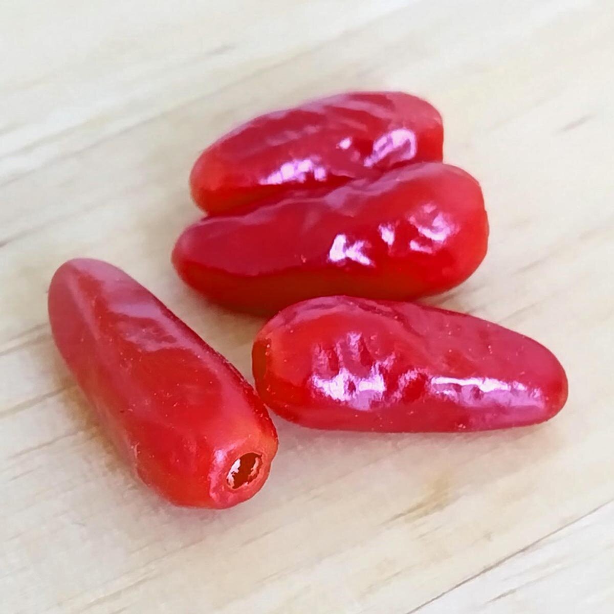 Wild Chilli Pepper 'Chacoense' (Capsicum chacoense) seeds