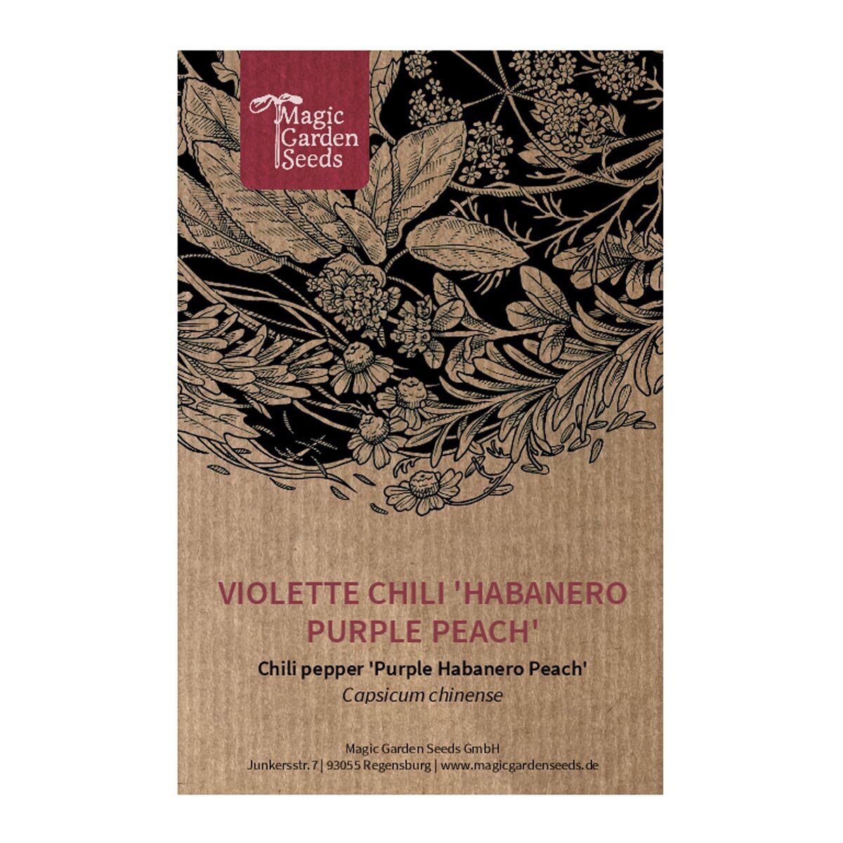 Chili Pepper 'Purple Habanero Peach' (Capsicum chinense) seeds