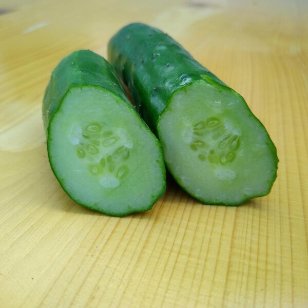 Cucumber 'Tanja' (Cucumis sativus) organic - approx. 10 seeds