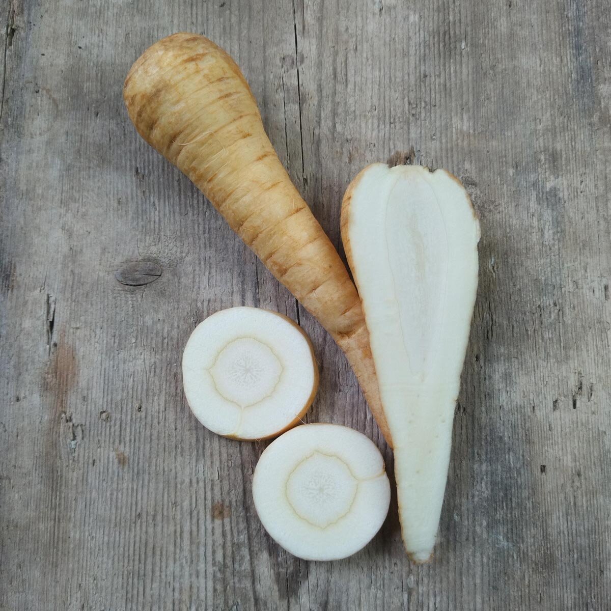Parsnip 'White Half-Length' (Pastinaca sativa) organic - approx. 500 seeds