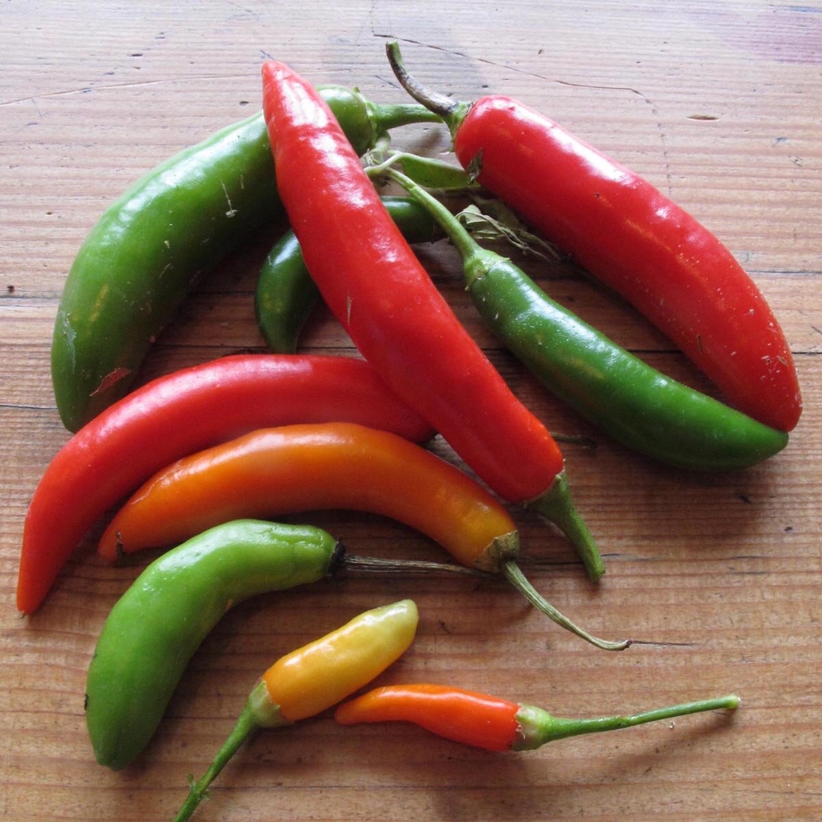 Tabasco Pepper (Capsicum frutescens) - approx. 10 seeds