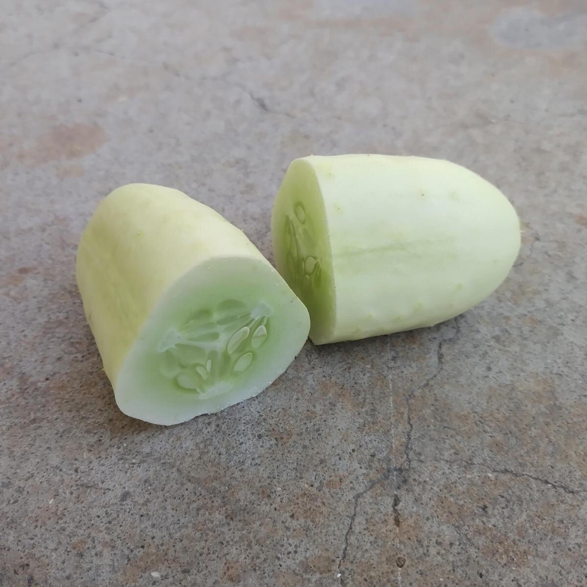 Cucumber 'Gele Tros' (Cucumis sativus) organic seeds