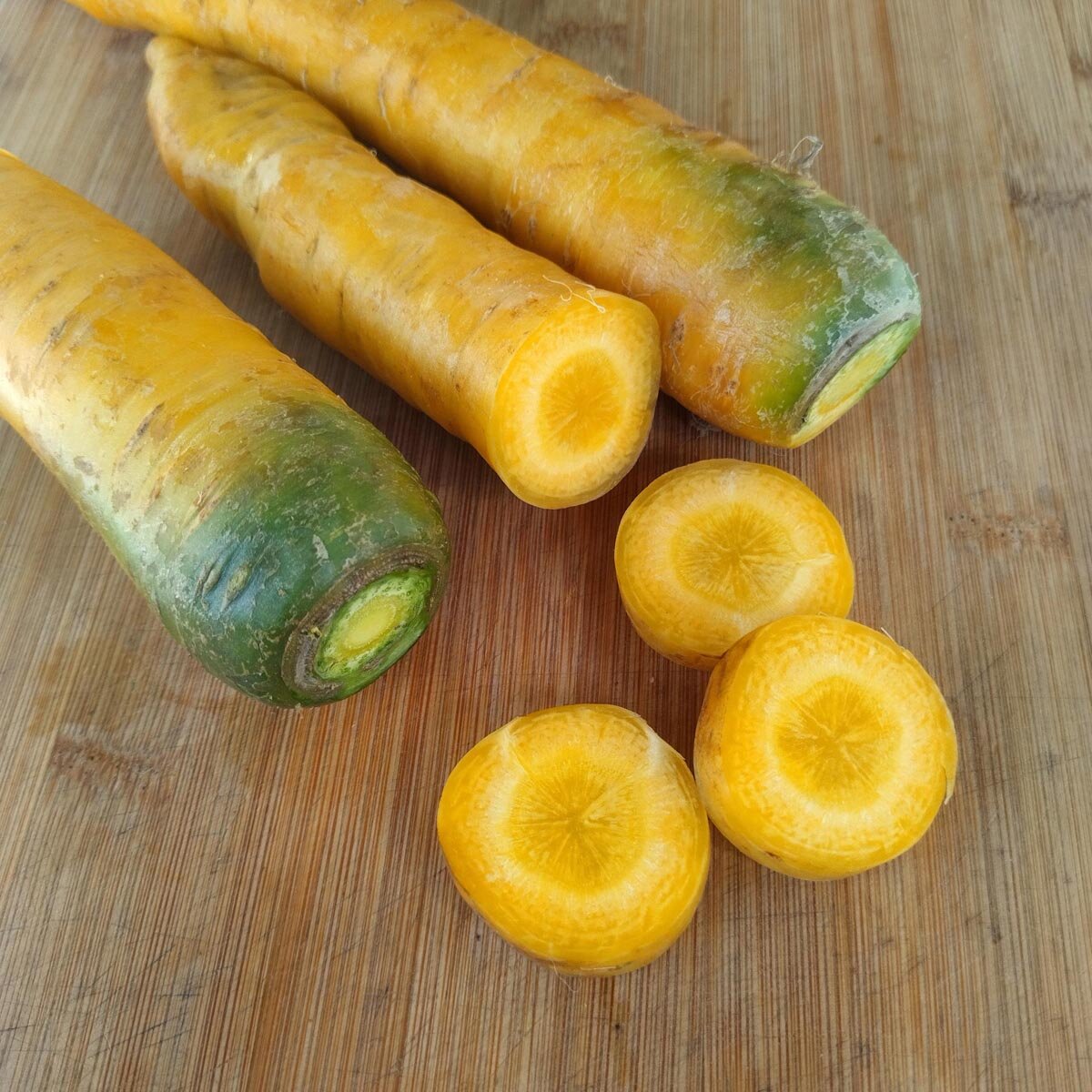 Yellow Carrot 'Jaune Du Doubs' (Daucus carota) seeds