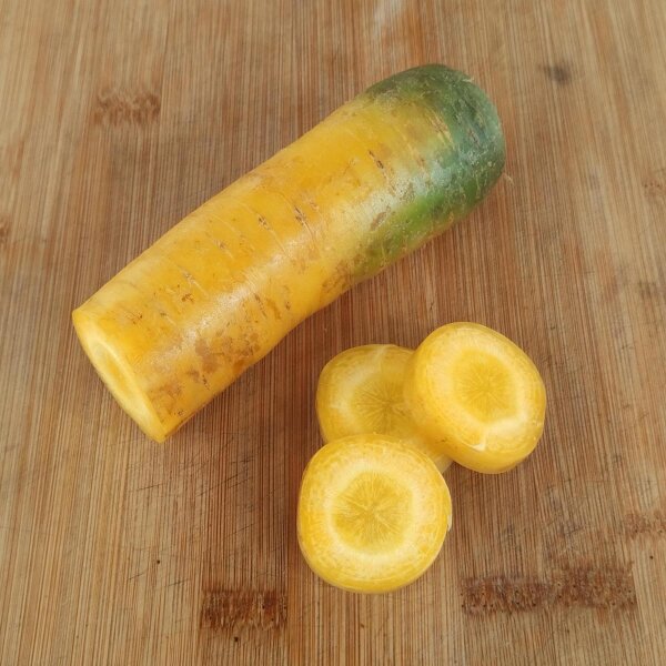 Yellow Carrot 'Jaune Du Doubs' (Daucus carota) seeds