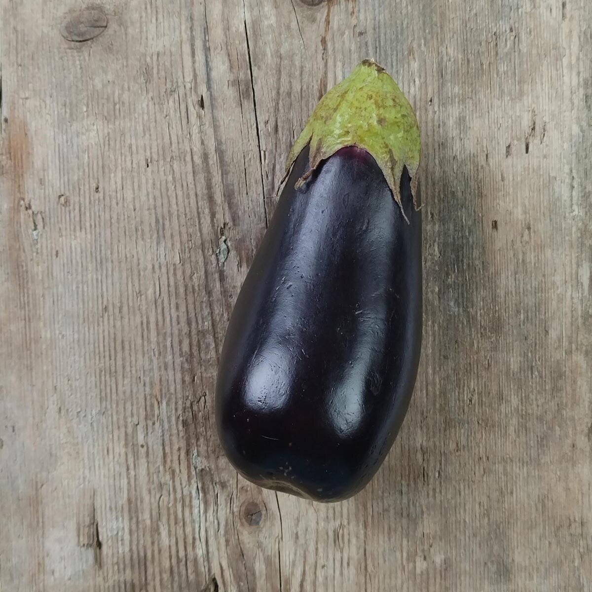 Eggplant 'Long Purple' (Solanum melongena) seeds