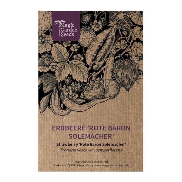 Strawberry 'Rote Baron Solemacher' (Fragaria vesca var. semperflorens ...