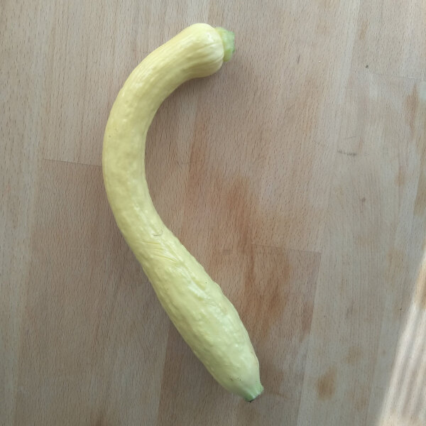 Yellow Zucchini 'Yellow Crookneck' (Cucurbita pepo) seeds