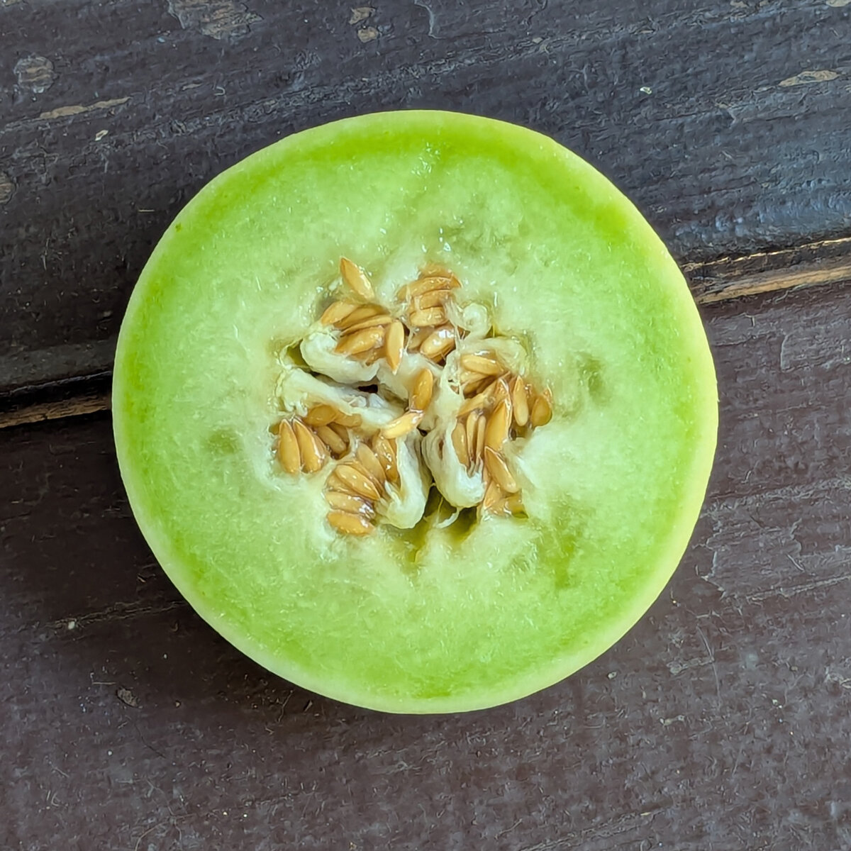 Honeydew Melon 'Oliwin' (Cucumis melo) seeds