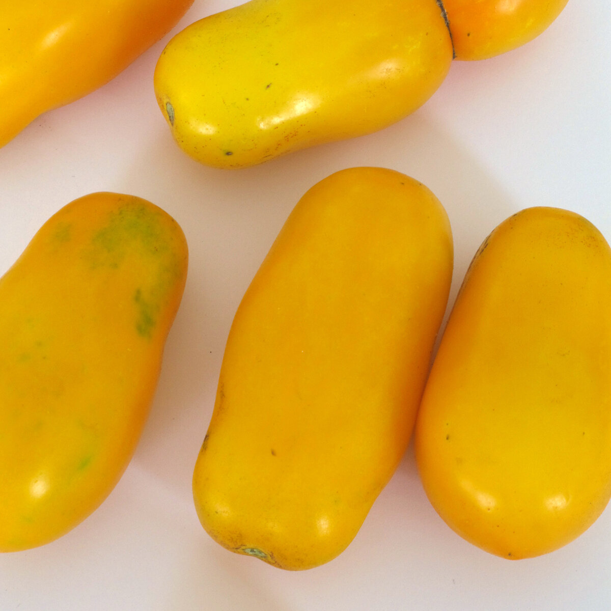 Yellow Bush Tomato 'Banana Legs' (Solanum lycopersicum) seeds