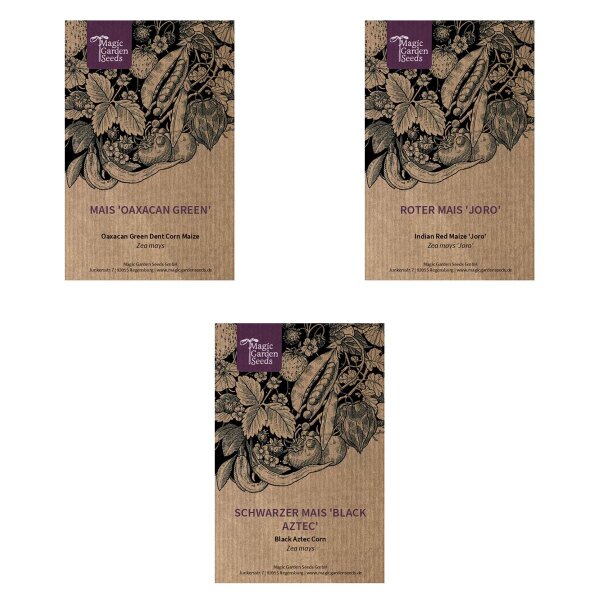 Colourful Native American Sweet Corn/ Maize - Seed kit