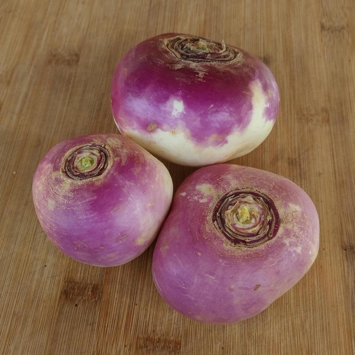 Autumn turnip 'Milan White Red Top' (Brassica rapa ssp. rapa) organic seeds